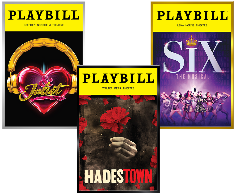 The Basic Playbill Display Frame