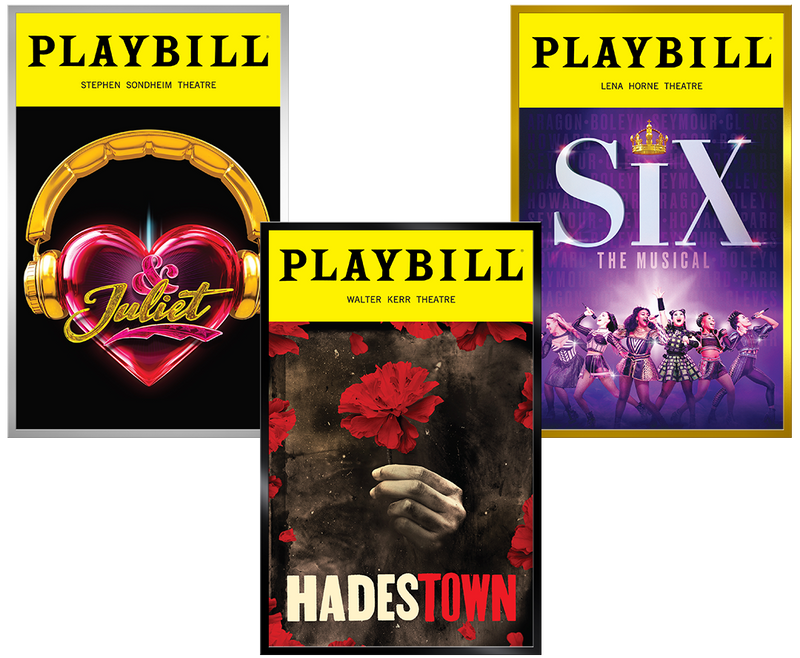 The Basic Playbill Display Frame